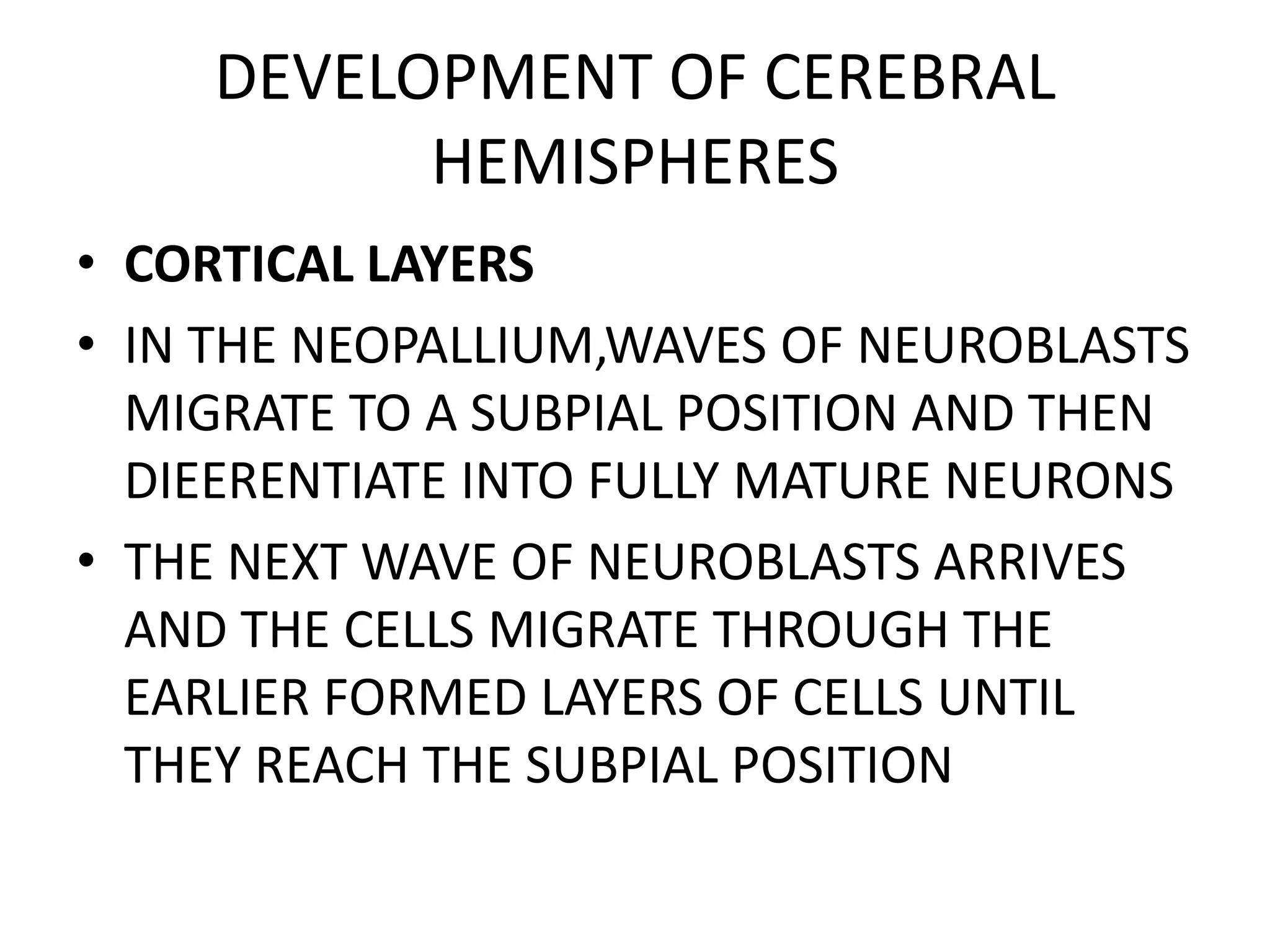 Development of cerebral hemispheres | PPTX