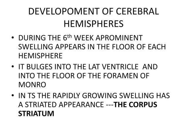 Development of cerebral hemispheres | PPTX