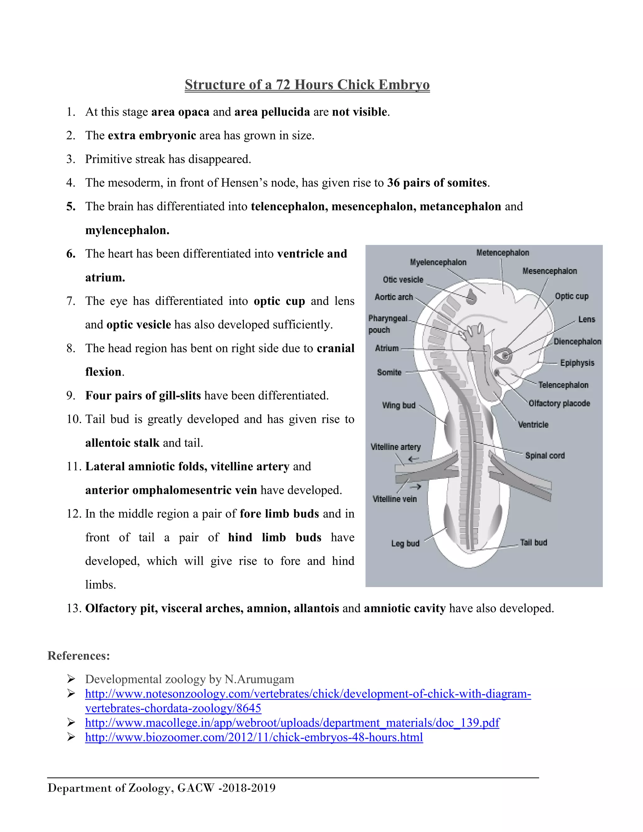 Development of chick | PDF