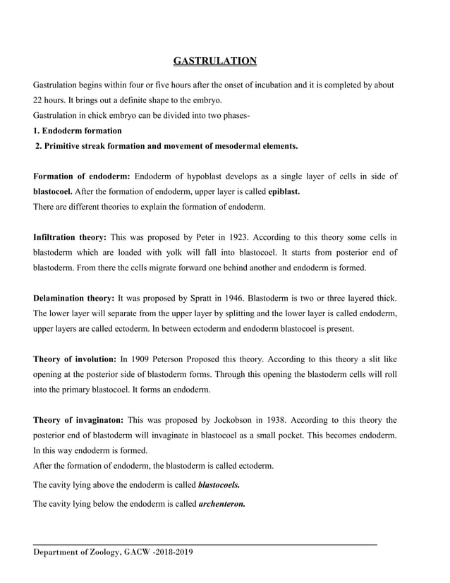 Development of chick | PDF