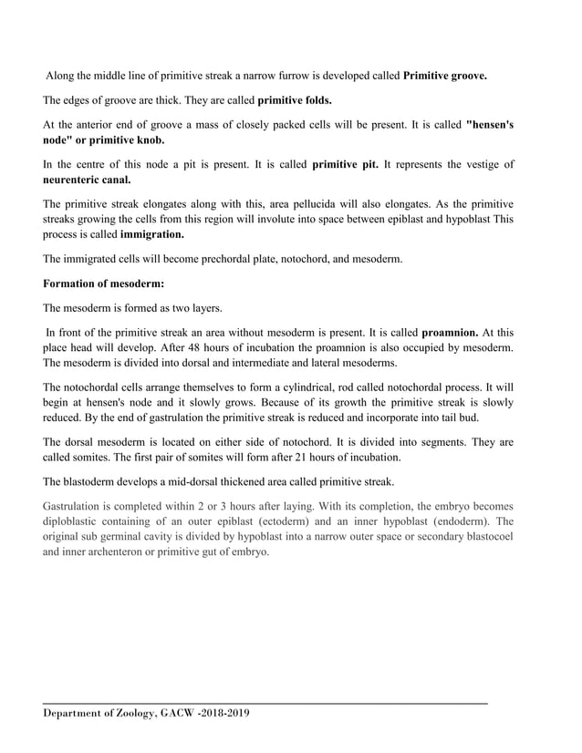 Development of chick | PDF