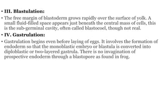 Development of chick | PPTX | Infertility | Reproductive Health