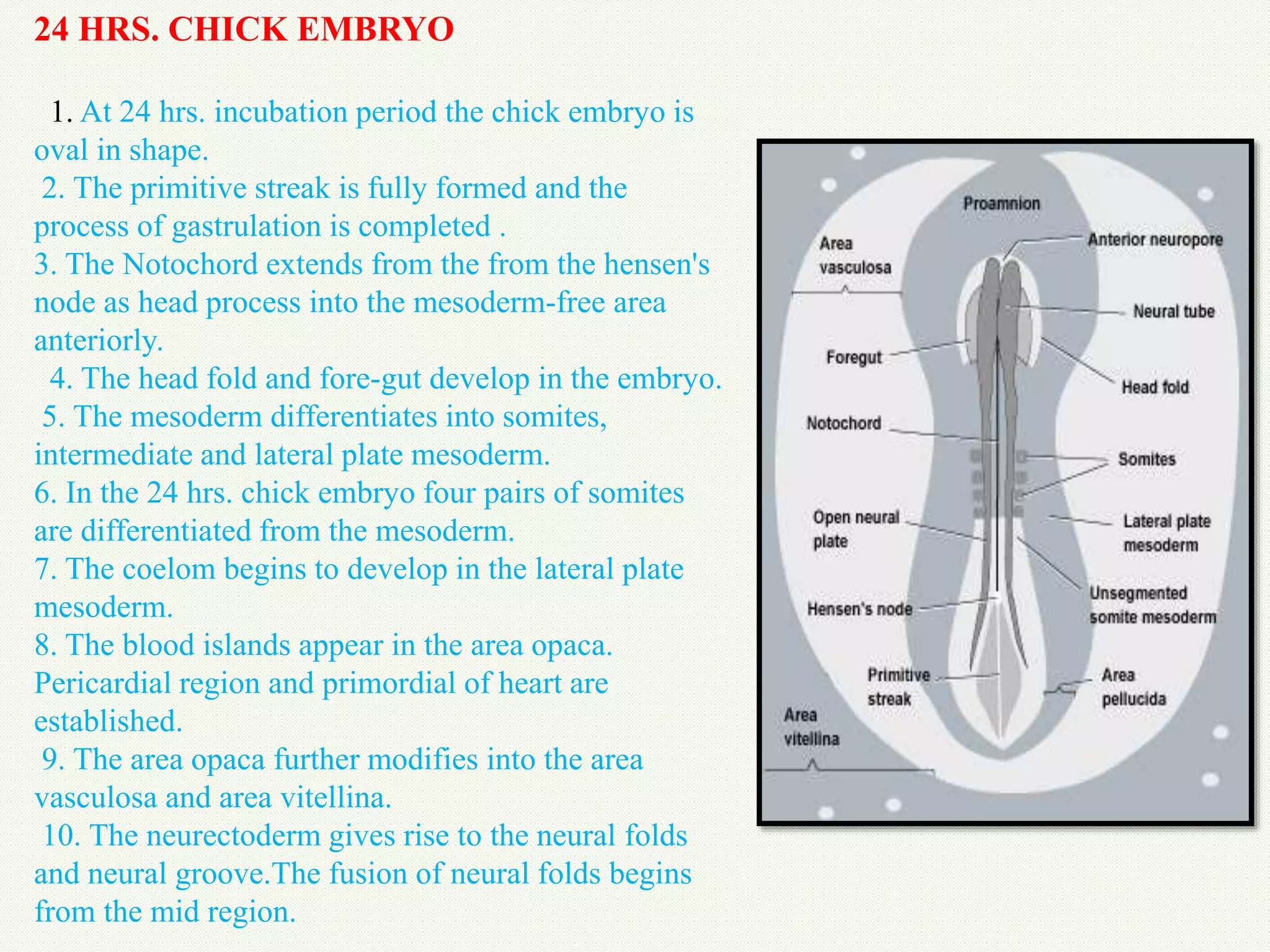 Development of chick embryo- structure of egg,cleavages,fate map and ...