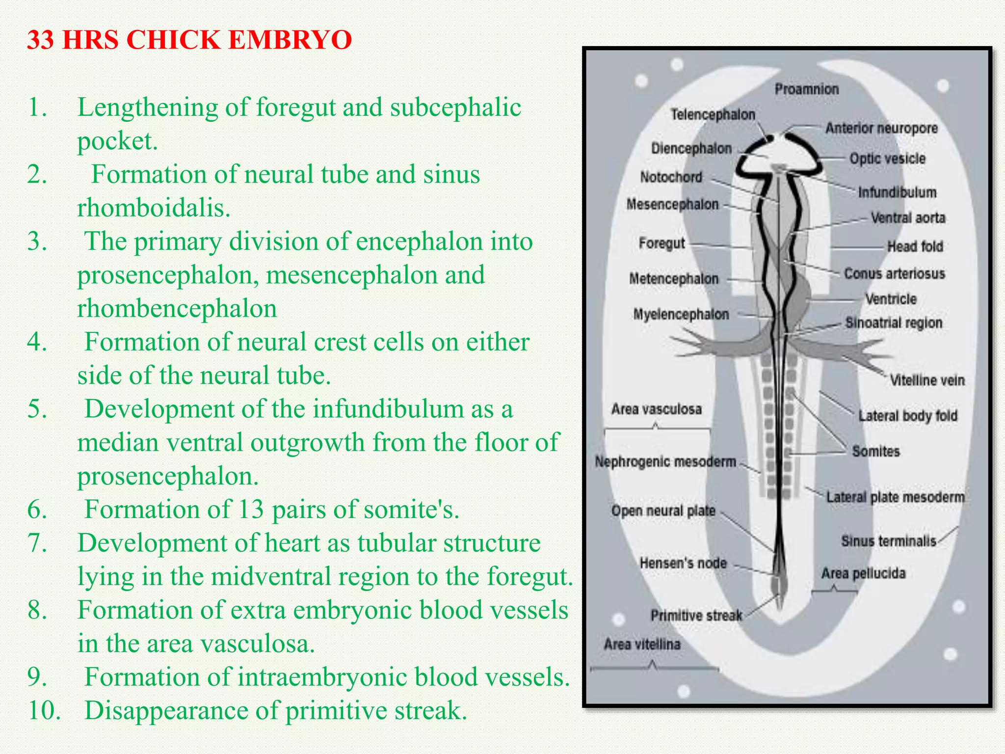 Development of chick embryo- structure of egg,cleavages,fate map and ...