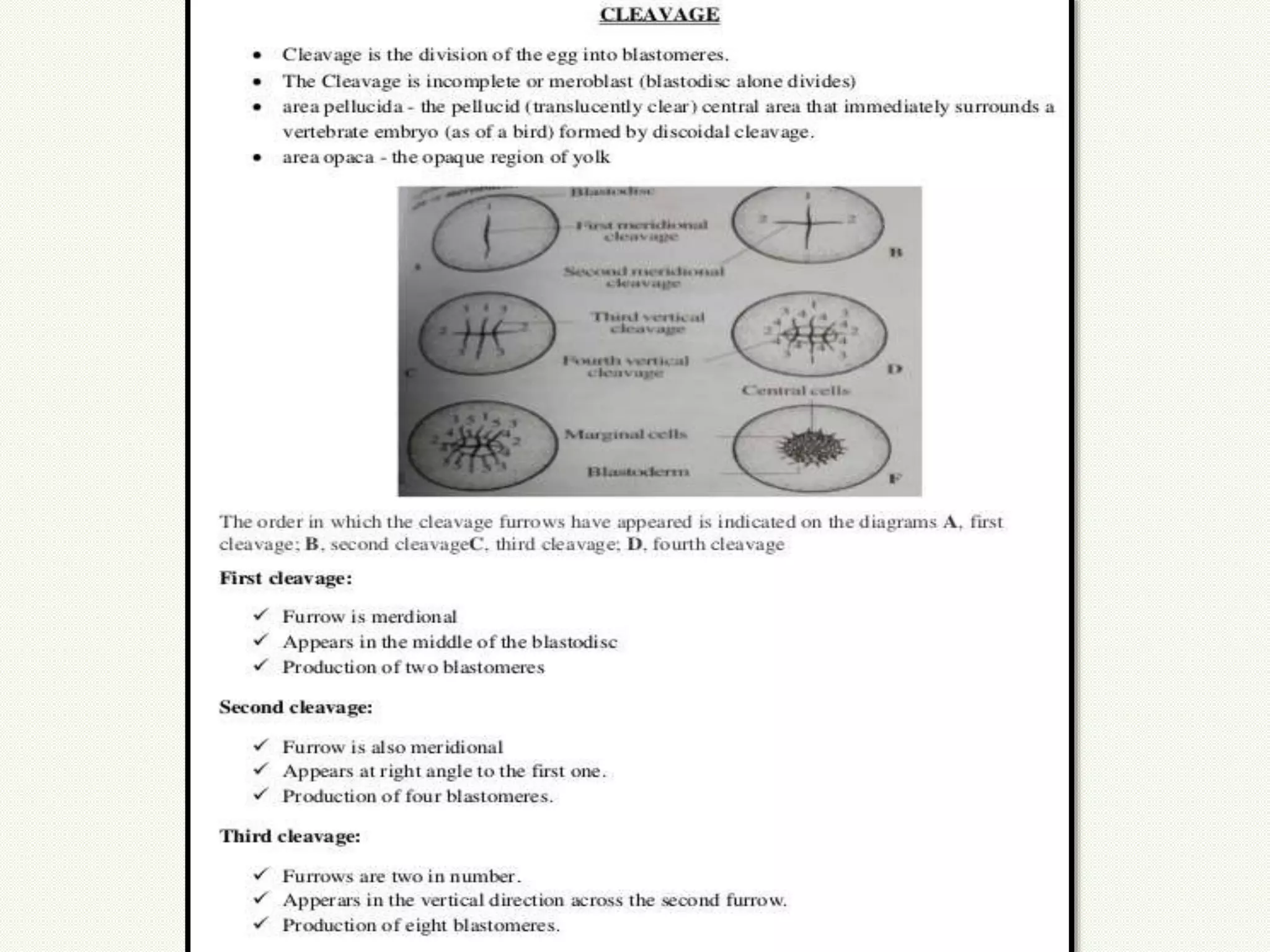 Development of chick embryo- structure of egg,cleavages,fate map and ...