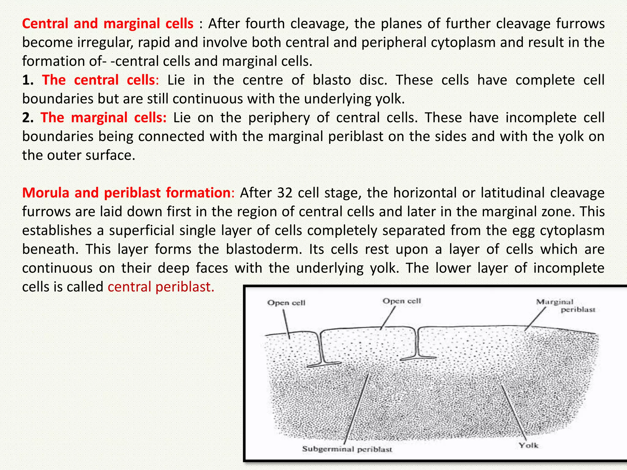 Development of chick embryo- structure of egg,cleavages,fate map and ...