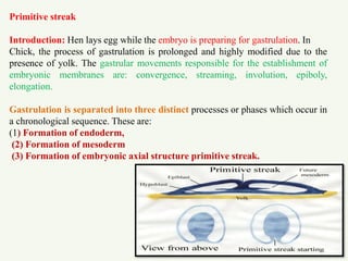 Development of chick embryo- structure of egg,cleavages,fate map and ...