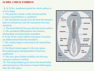 Development of chick embryo- structure of egg,cleavages,fate map and ...