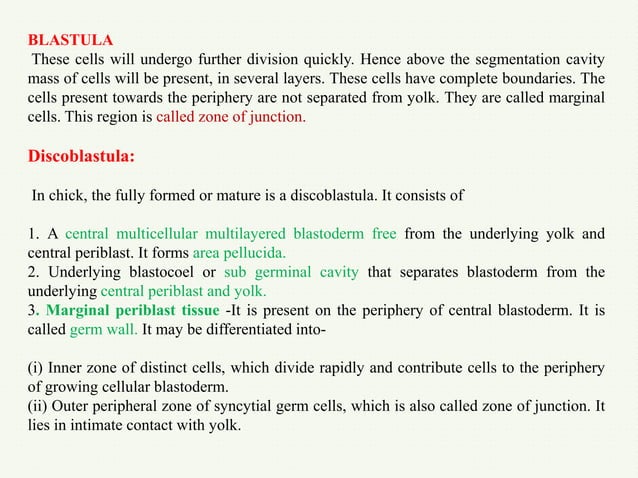 Development of chick embryo- structure of egg,cleavages,fate map and ...