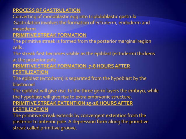 Development of chick powerpoint | PPTX