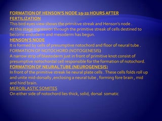 Development of chick powerpoint | PPTX