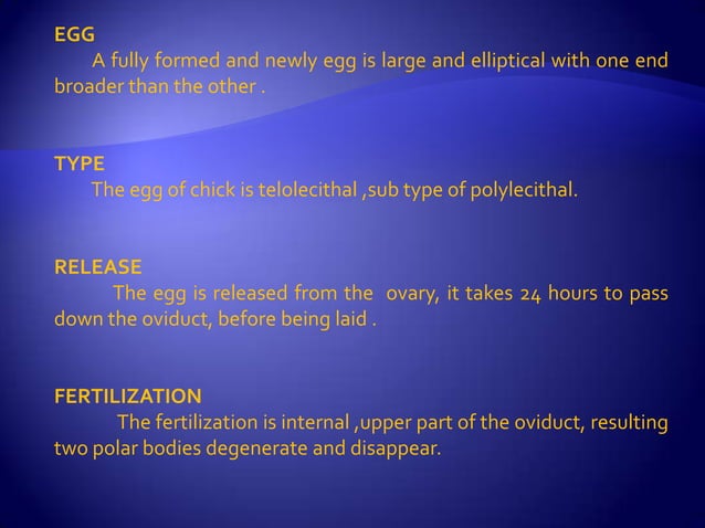 Development of chick powerpoint | PPTX