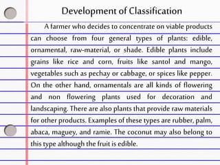 Paragraph Development by Classification | PPTX