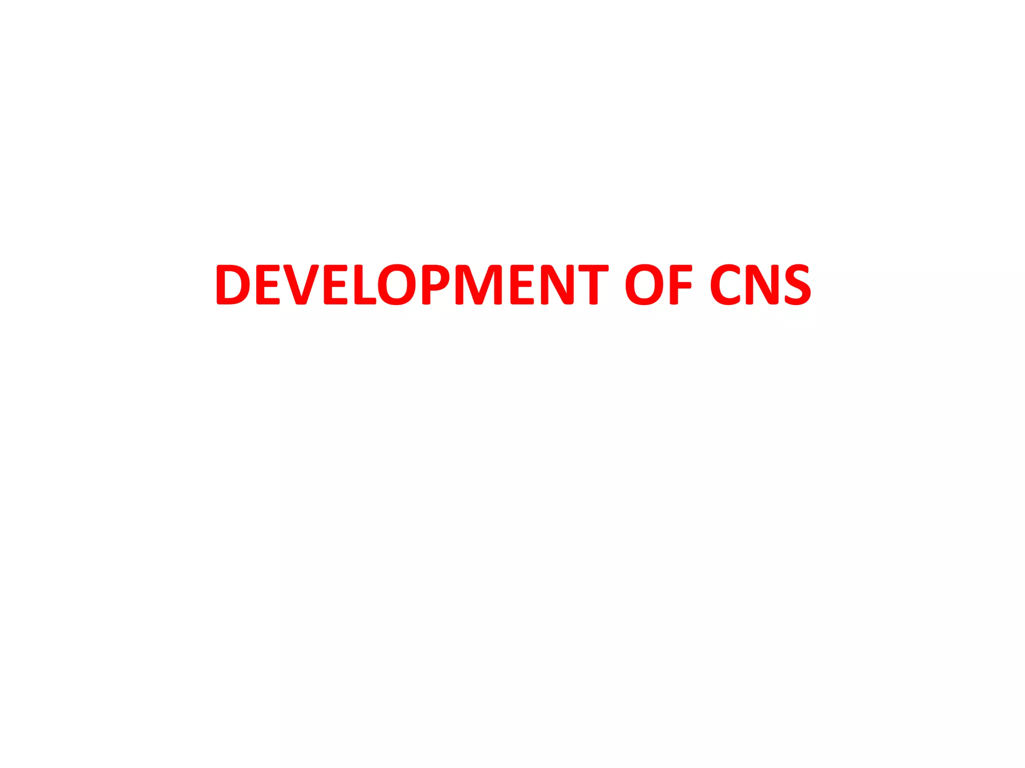 Development of CNS 02 | PPT