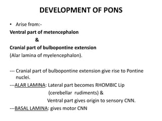 Development of CNS 02 | PPT
