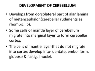 Development of CNS 02 | PPTX