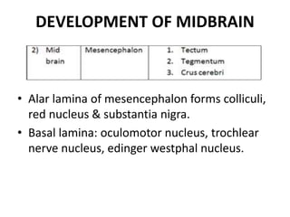 Development of CNS 02 | PPTX