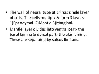 Development of CNS 02 | PPT