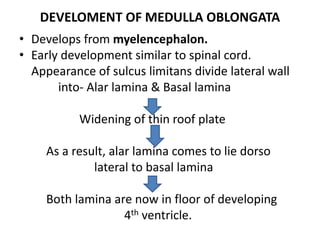 Development of CNS 02 | PPT