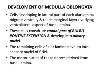 Development of CNS 02 | PPTX