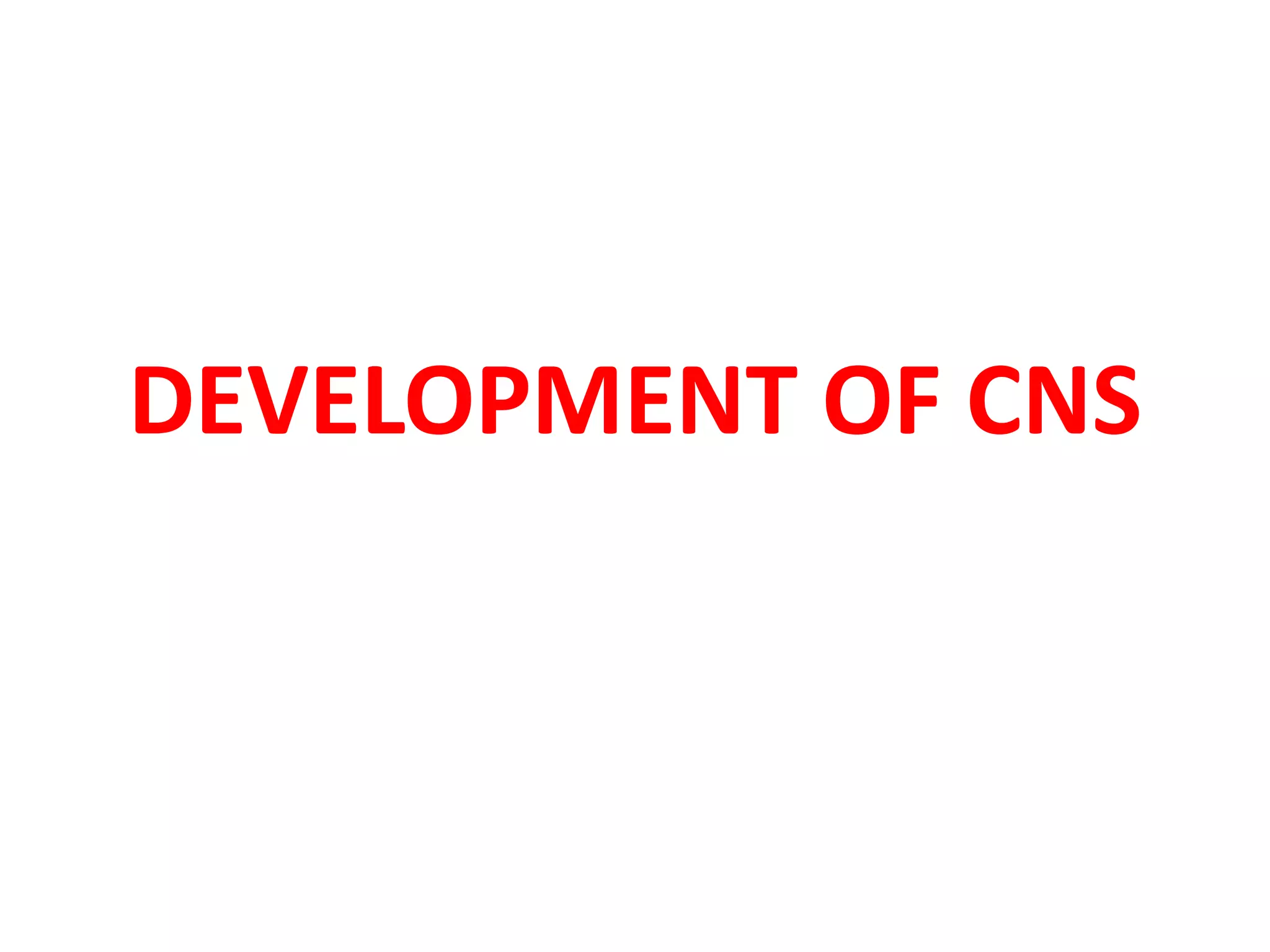 Development of cns 3 | PPT