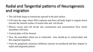 Development of Central nervous system ppt | PPTX