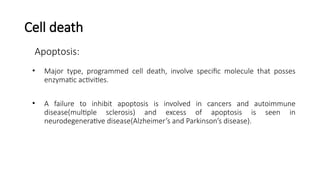 Development of Central nervous system ppt | PPTX