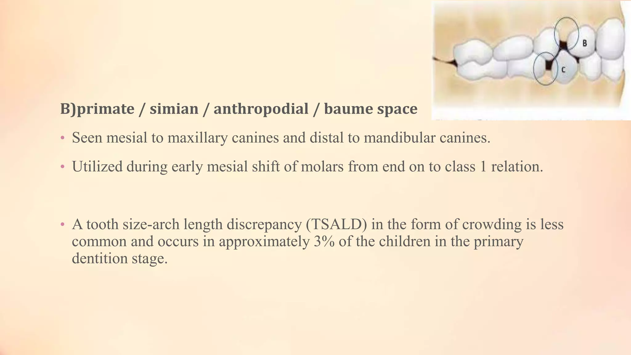 Development of dental occlusion in orthodontics | PPTX