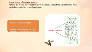 Development of dental occlusion in orthodontics | PPTX
