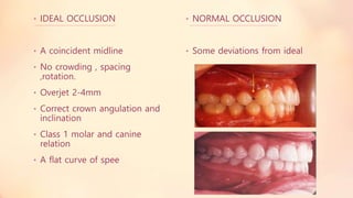 Development of dental occlusion in orthodontics | PPTX