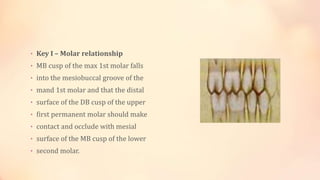 Development of dental occlusion in orthodontics | PPTX