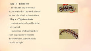 Development of dental occlusion in orthodontics | PPTX