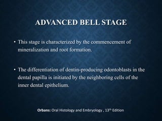 Development of dentition | PPTX
