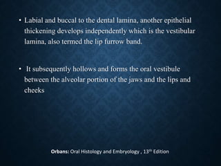 Development of dentition | PPTX