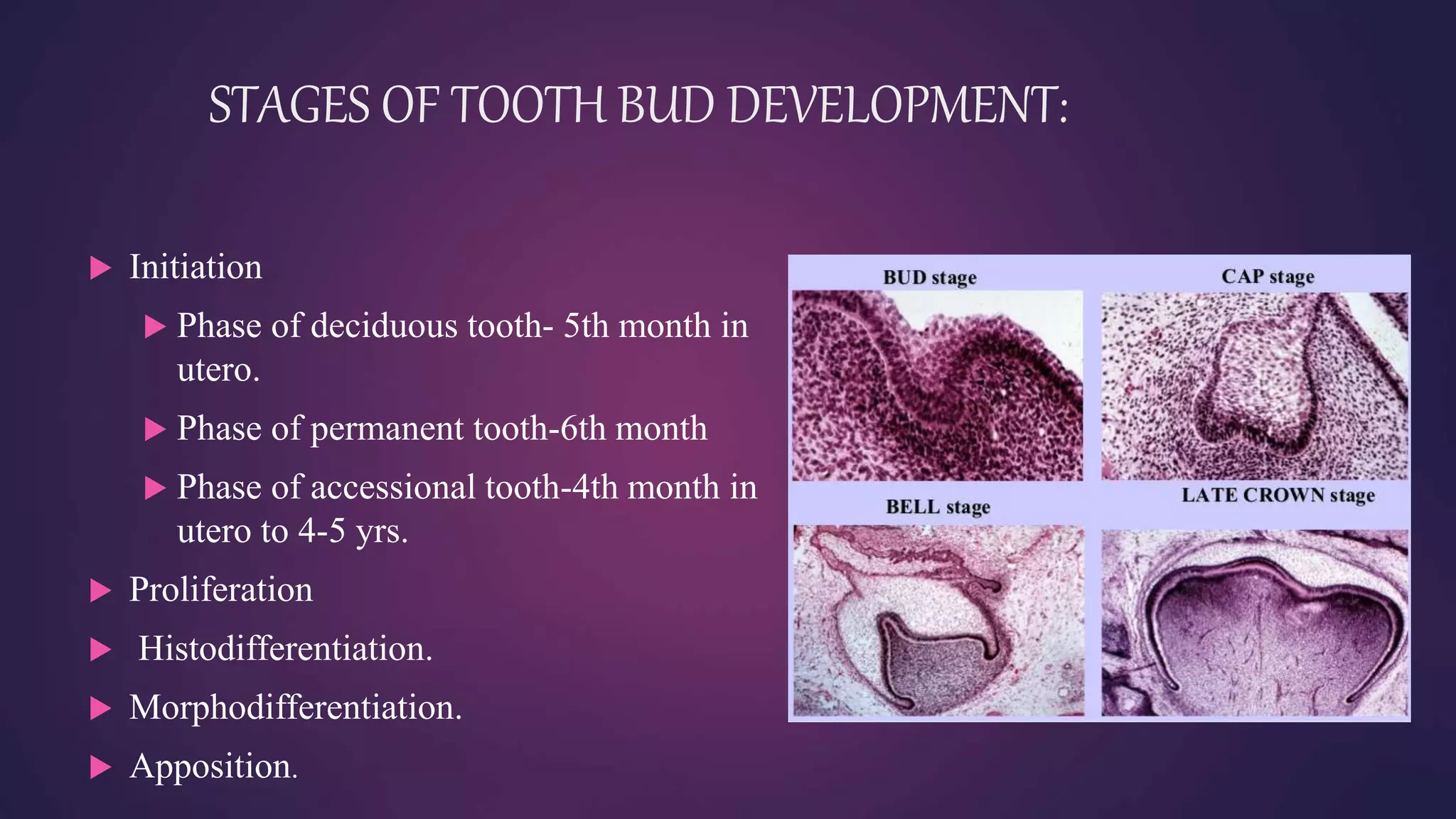 Development of dentition and occlsion | PPTX