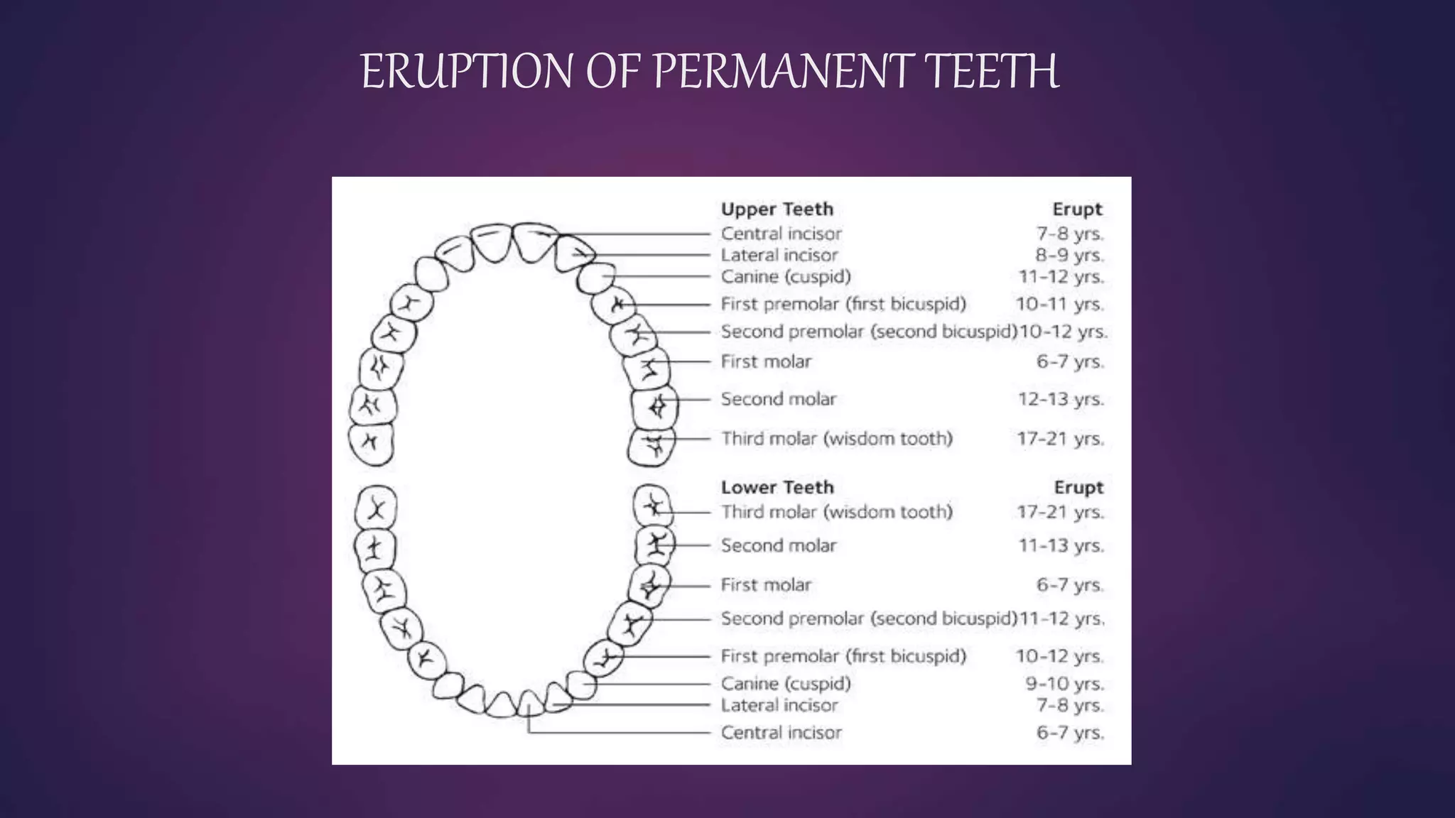 Development of dentition and occlsion | PPTX