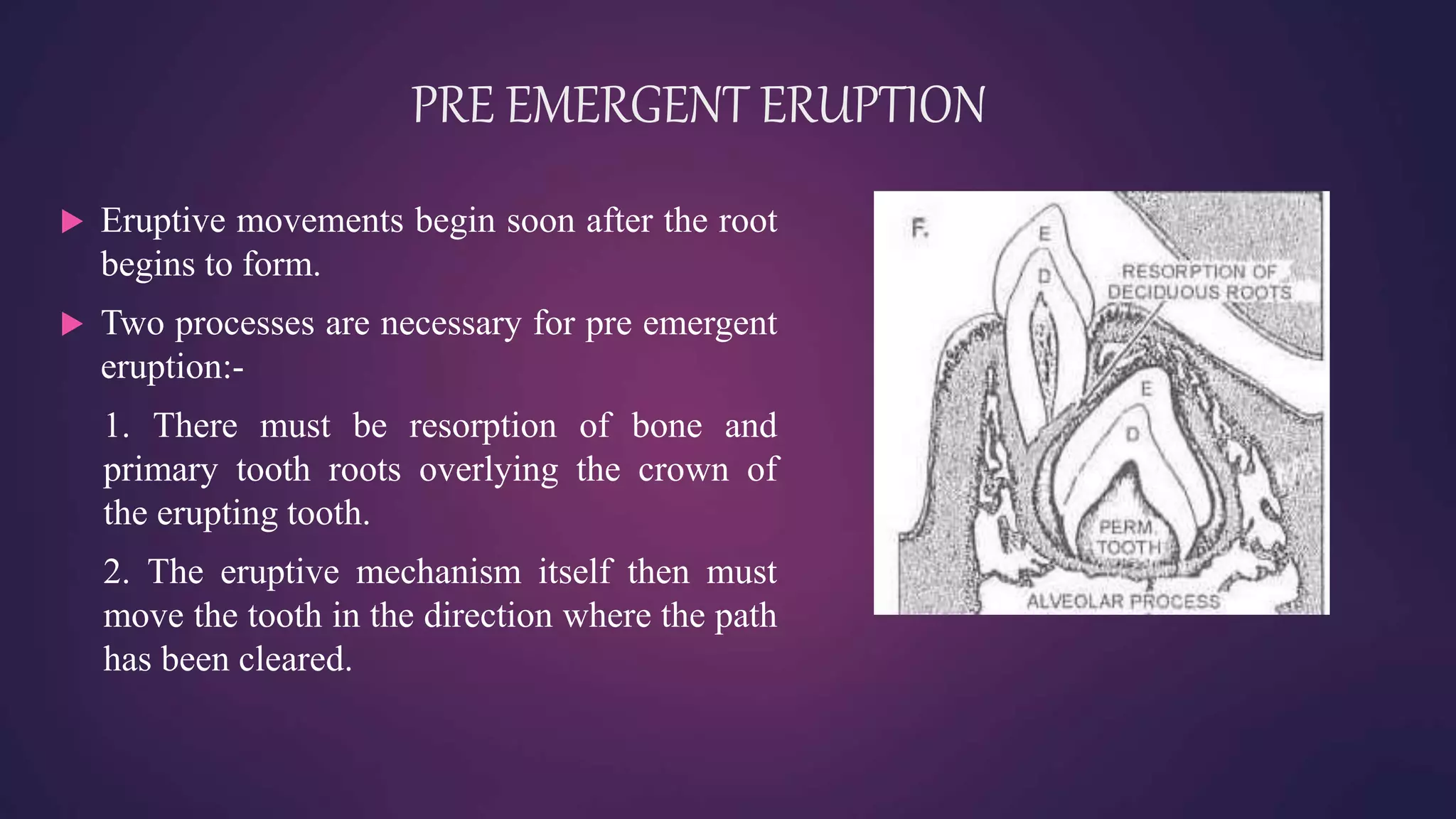 Development of dentition and occlsion | PPTX