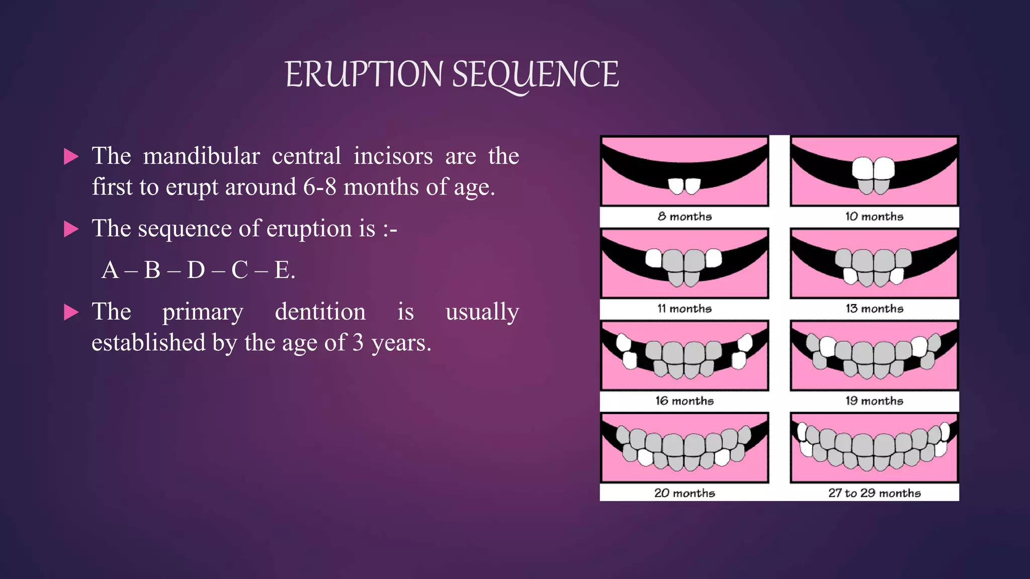 Development of dentition and occlsion | PPTX