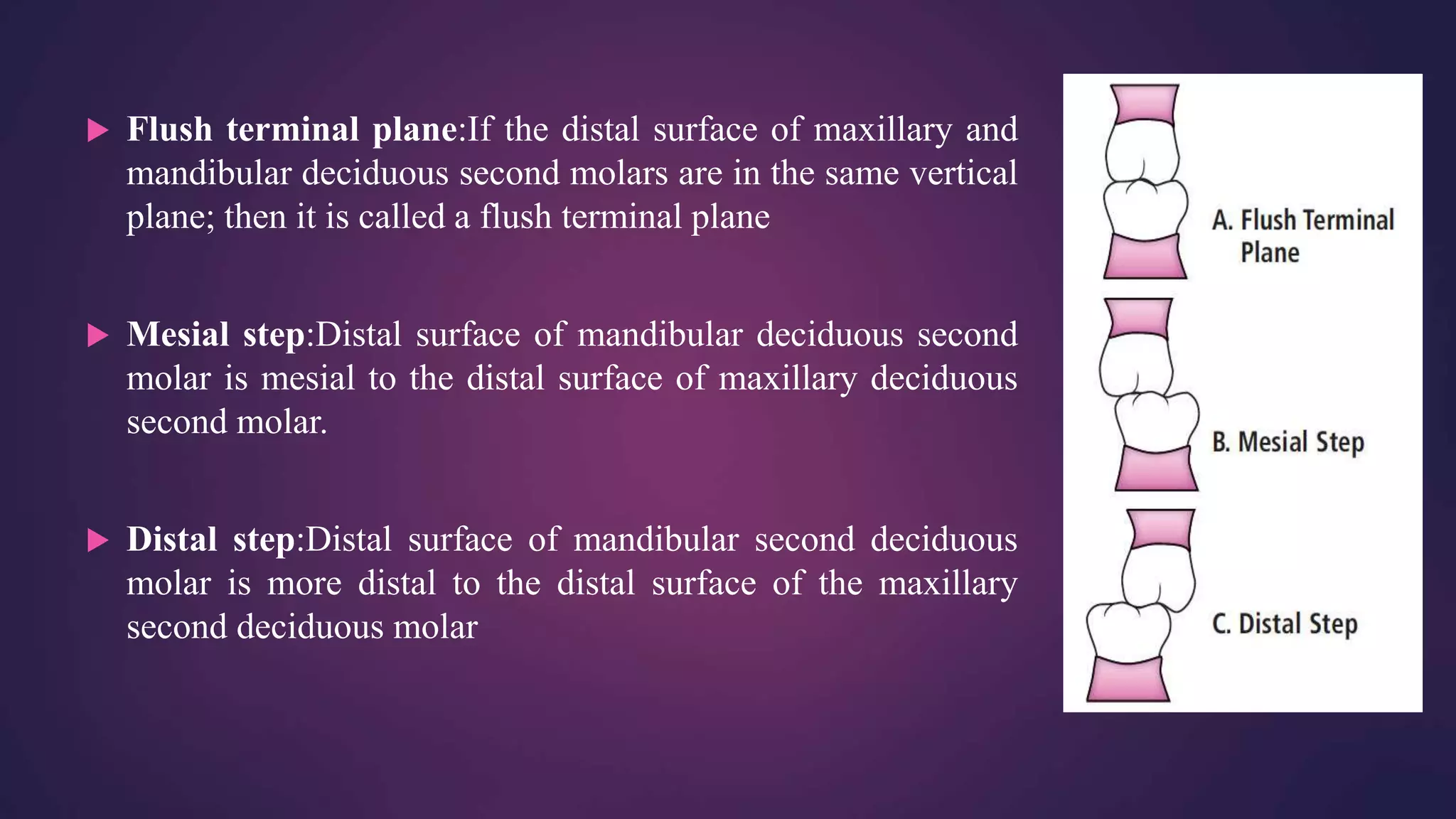 Development of dentition and occlsion | PPTX