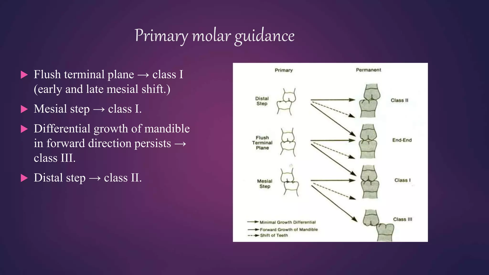 Development of dentition and occlsion | PPTX
