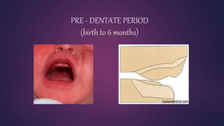 Development of dentition and occlsion | PPTX