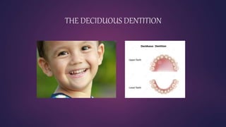 Development of dentition and occlsion | PPTX