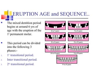 Development of dentition and occlusion | PPT
