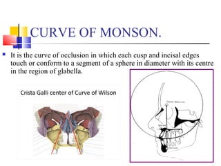 Development of dentition and occlusion | PPT