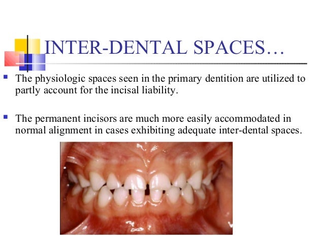 Development of dentition and occlusion