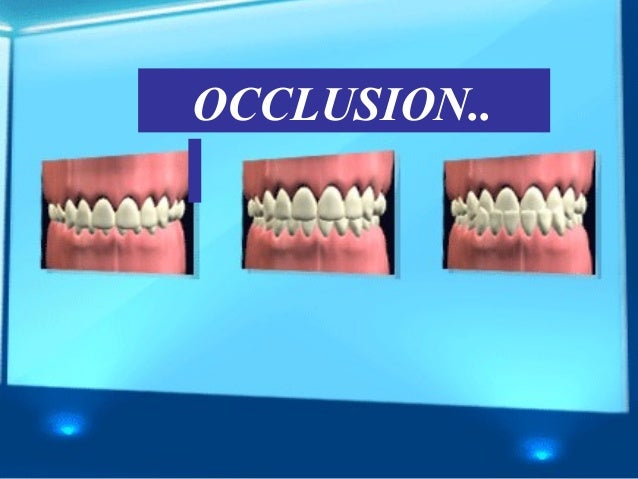 Development of dentition and occlusion