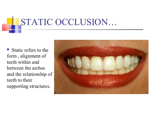 Development of dentition and occlusion