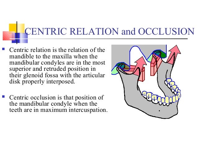 Development of dentition and occlusion