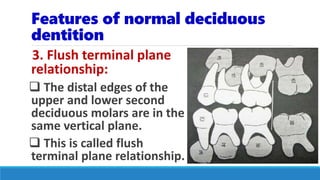 Development of dentition and occlusion | PPTX