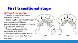 Development of dentition and occlusion | PPTX